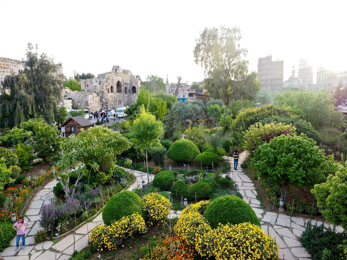The gardens of Damascus: can Syrians reconnect with nature? – Between ...